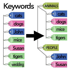 How do I clean up my keyword list? | The Lightroom Queen